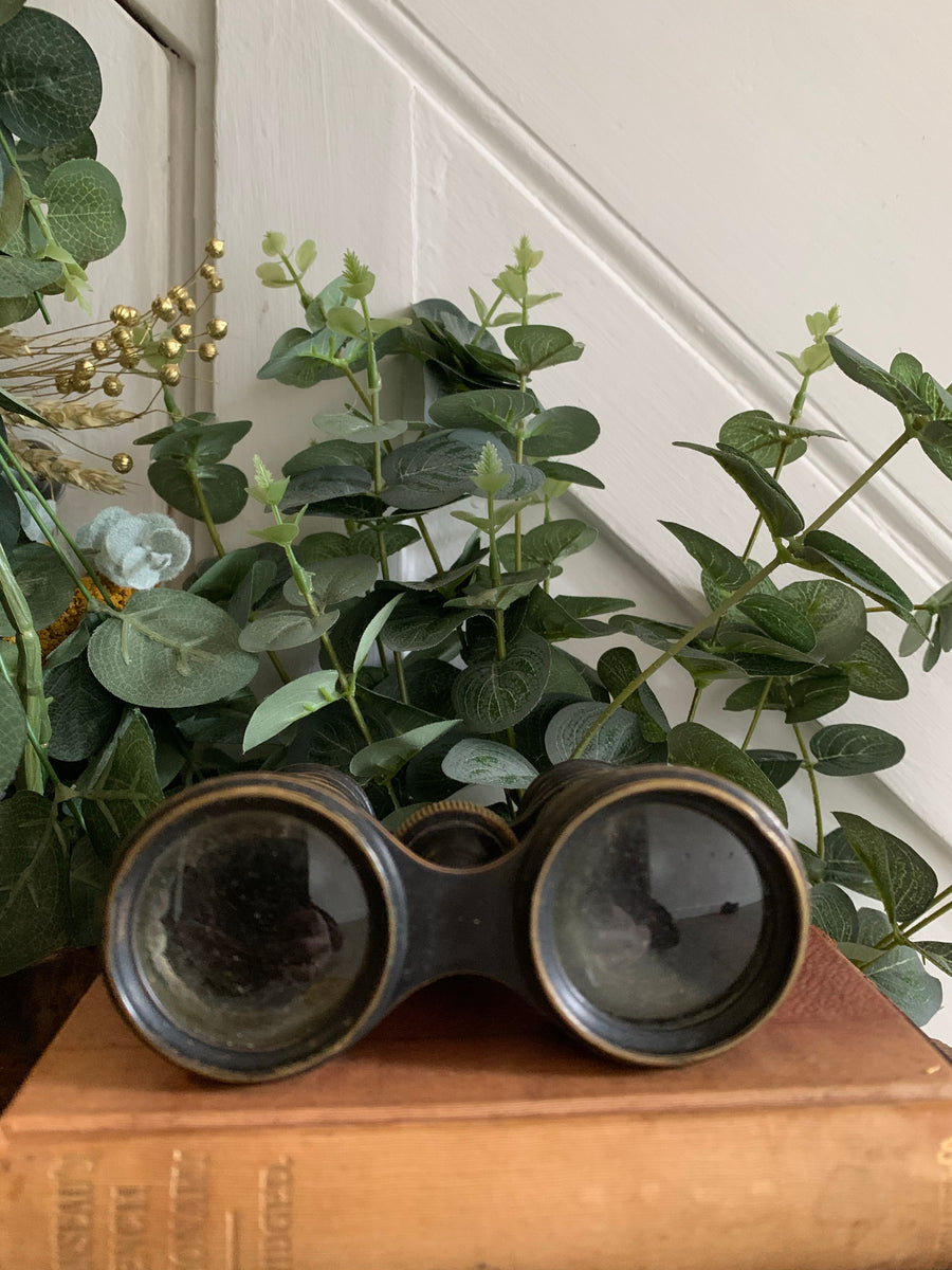 Antique Opera Glasses – Reclectic