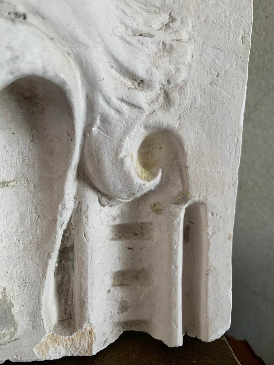 Salvaged “Lions Head” Plaster Mold – Reclectic