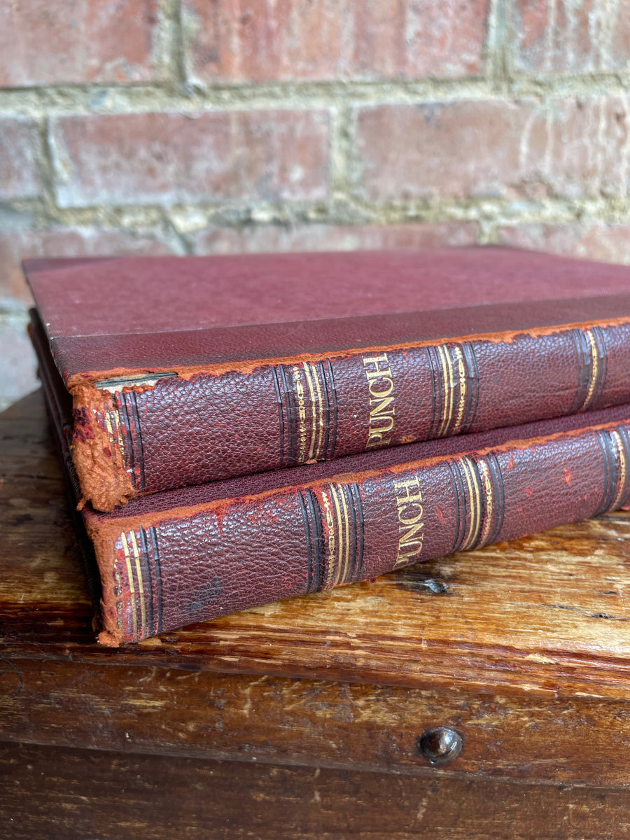 1899 “Punch” Annual Vol 116 – Reclectic