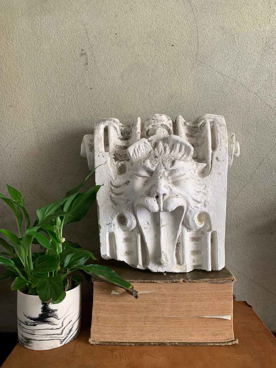 Salvaged “Lions Head” Plaster Mold – Reclectic